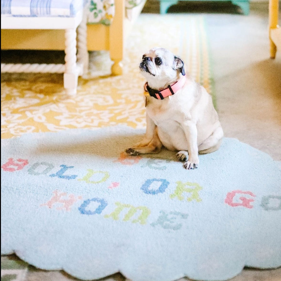 Madcap Cottage Scatter Rugs